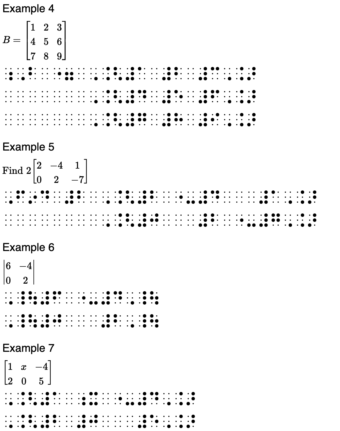Braille, Dyscalculia, and Mathematics: How?
